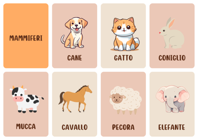 Flashcard animali • Edudoro