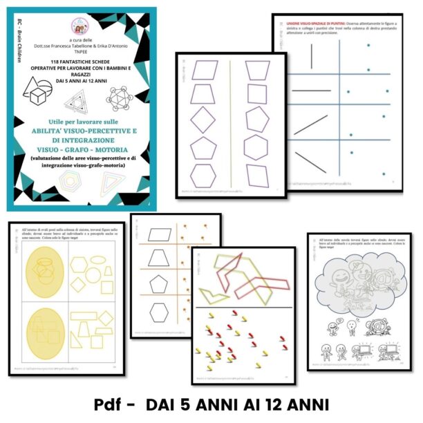 118 Schede operative delle abilita' visuo-percettive e di integrazione ...
