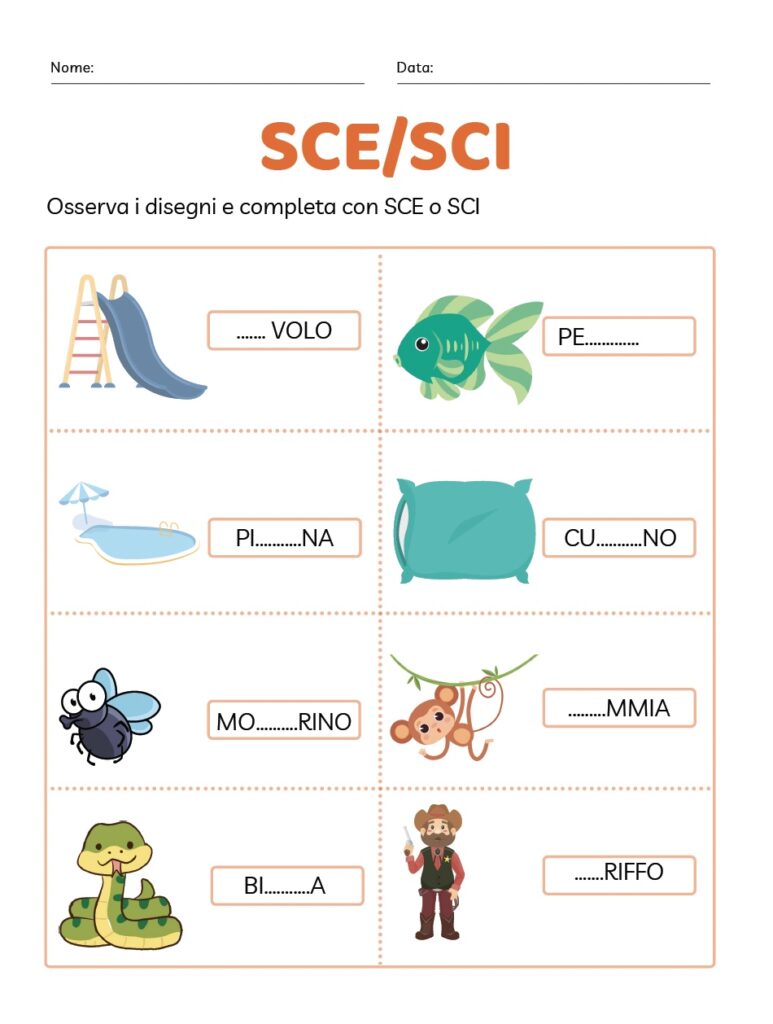 SCE - SCI • Edudoro
