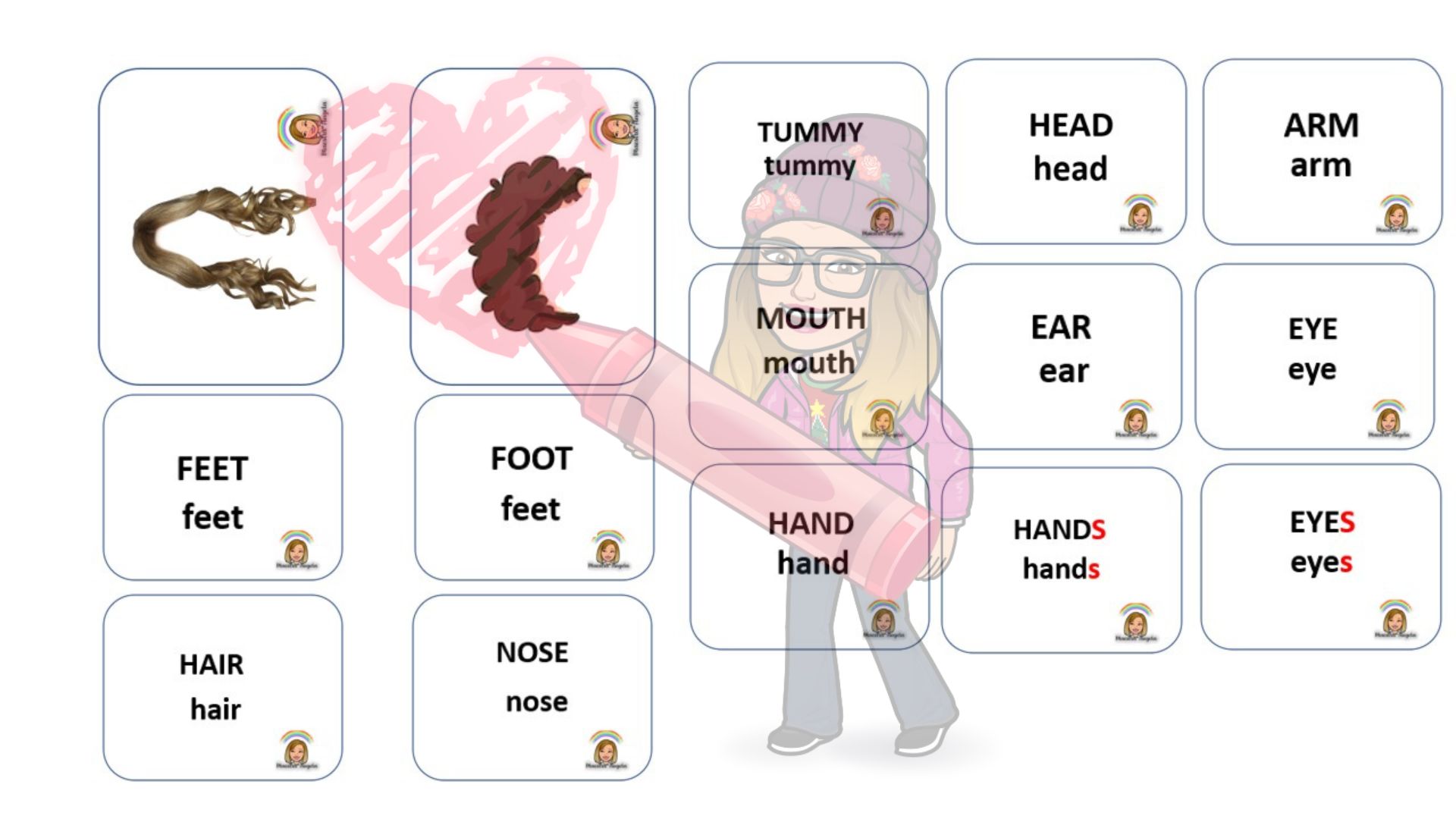 THE BODY FLASHCARD • Edudoro