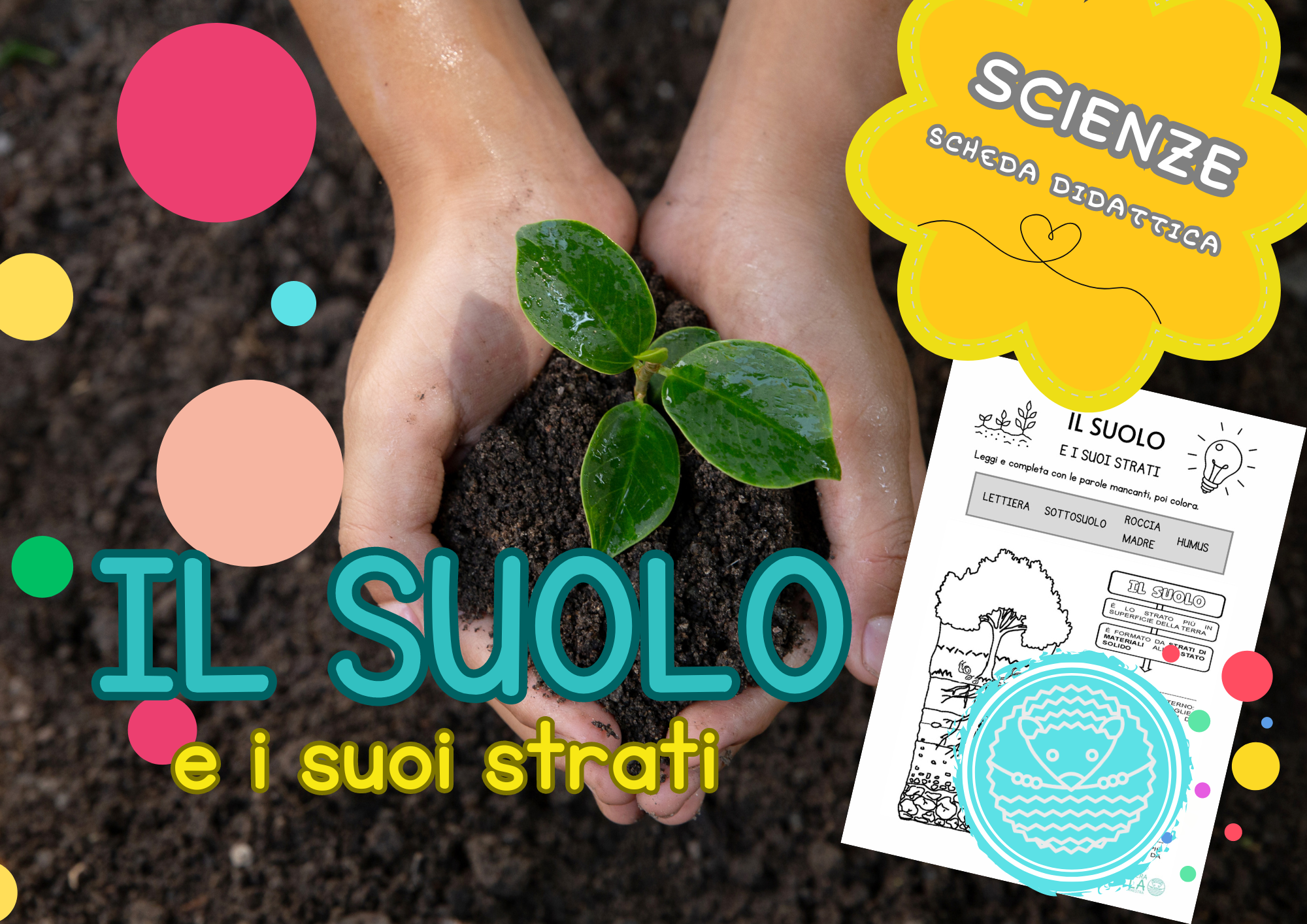 Scheda didattica "Il suolo e i suoi strati" • Edudoro