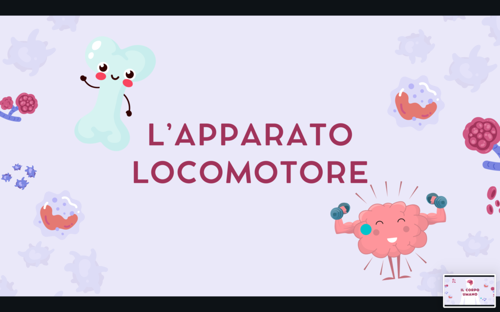 Presentazione ppt APPARATO LOCOMOTORE (scheletrico e muscolare) • Edudoro