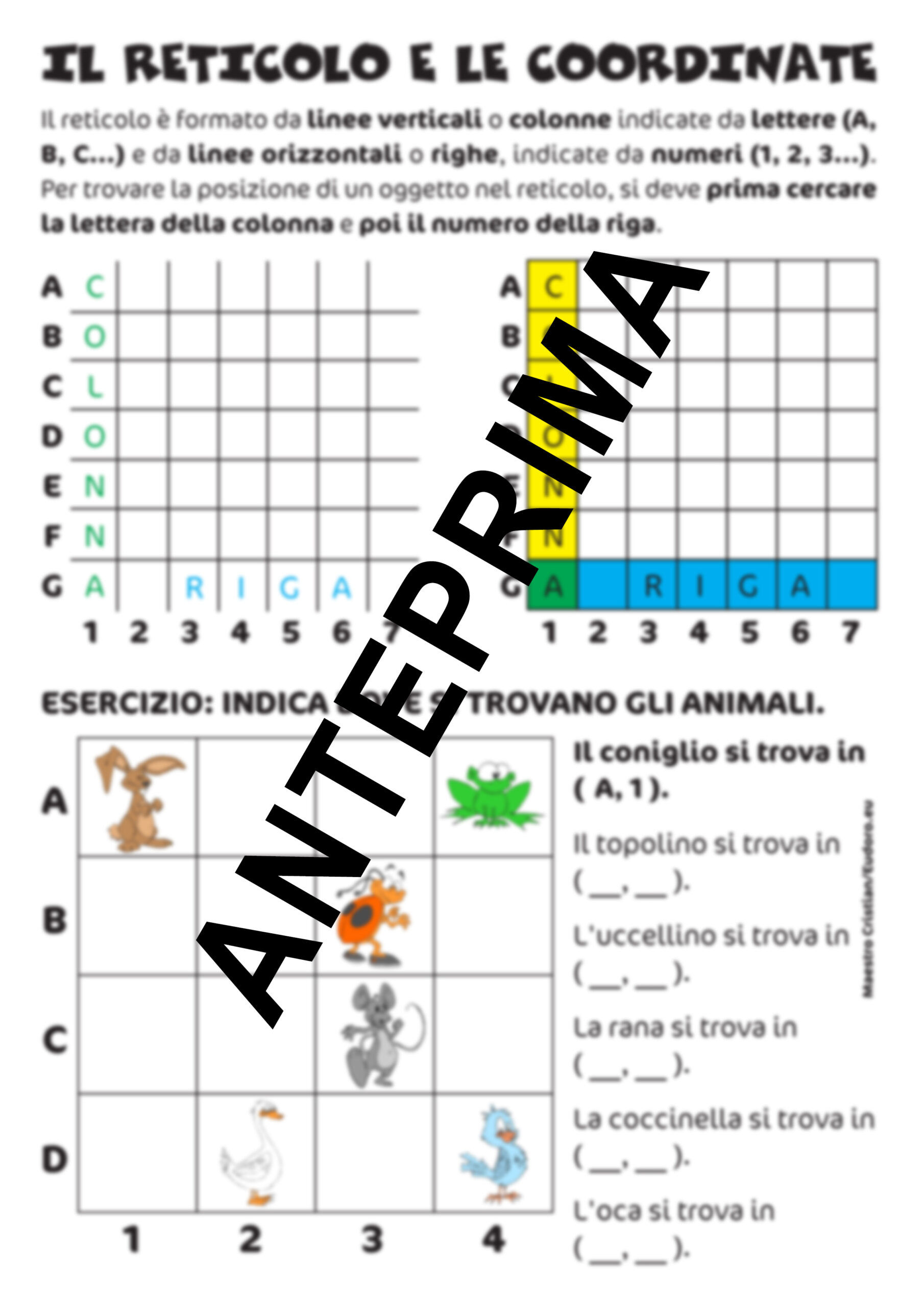 RETICOLI E COORDINATE CLASSE SECONDA • Edudoro