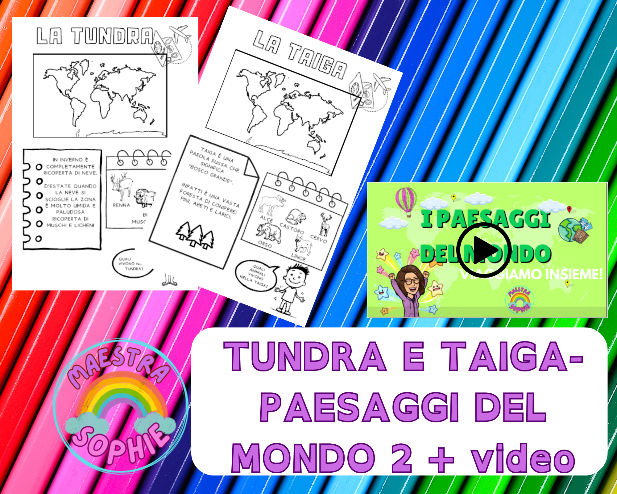 TUNDRA E TAIGA - Viaggiamo nel mondo (parte 2) con video • Edudoro