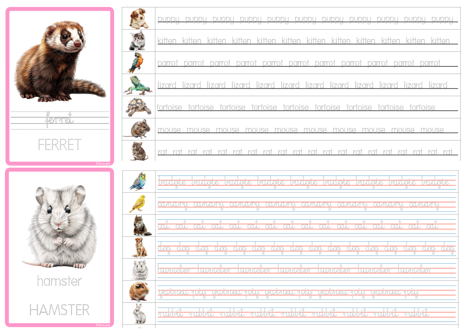 Tracing Activity: Pets • Edudoro