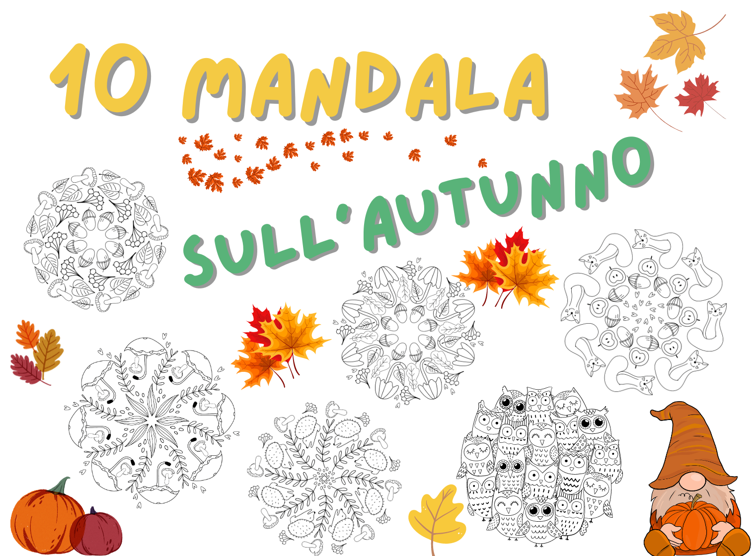 I MANDALA DELL'AUTUNNO • Edudoro