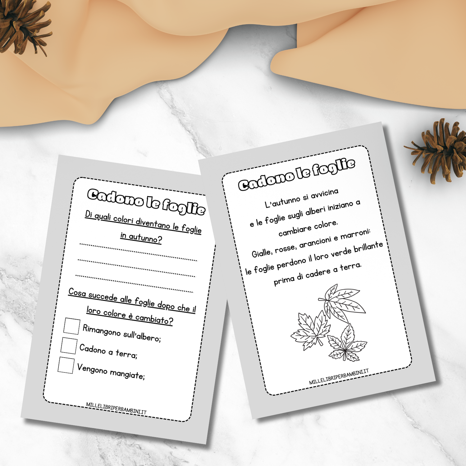 Lettura con domande di comprensione • Edudoro