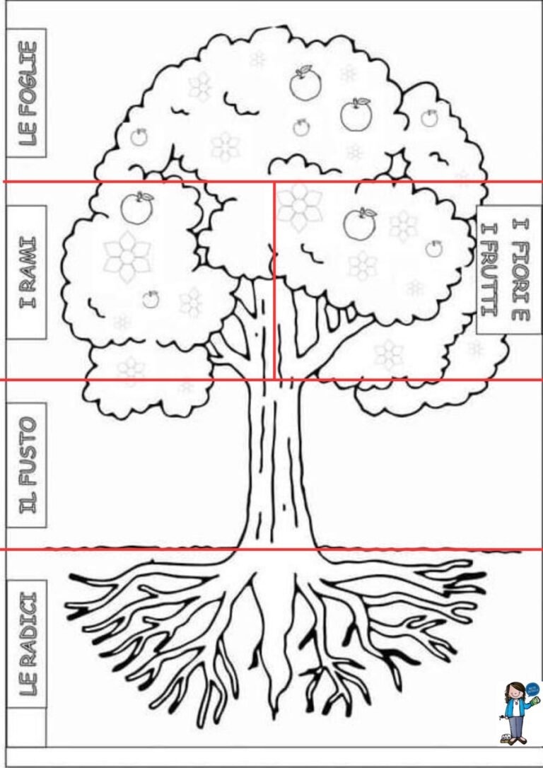 LE PARTI DELLA PIANTA • Edudoro