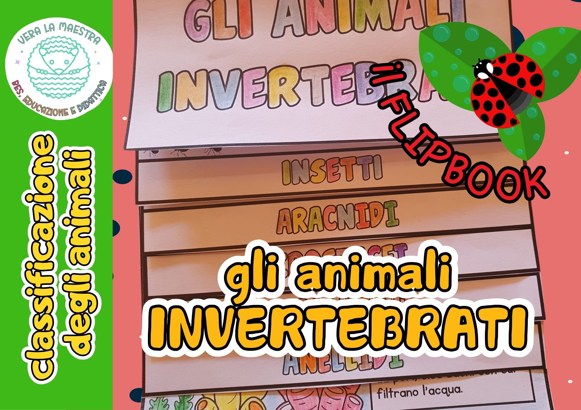 La classificazione degli animali INVERTEBRATI • Edudoro