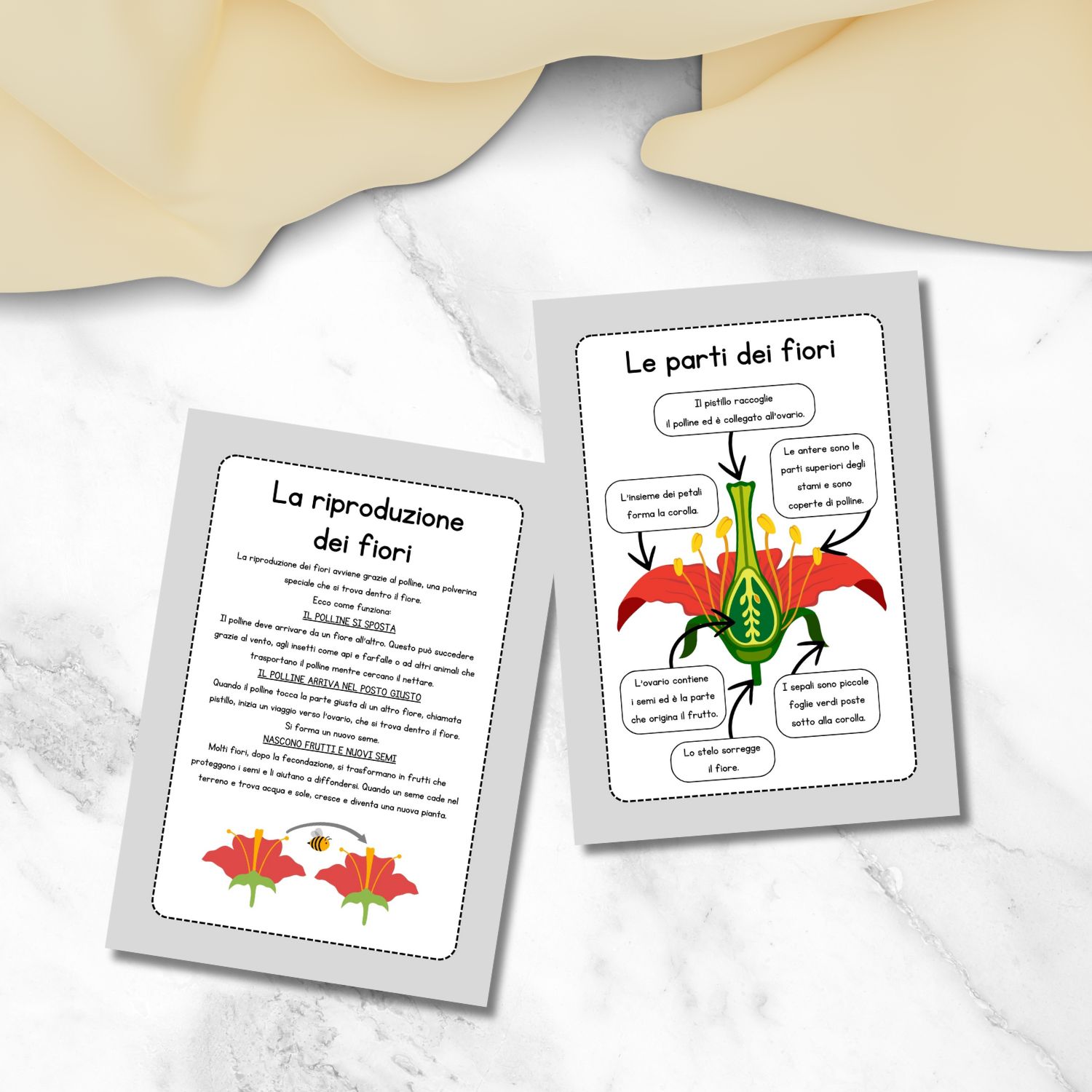 Schede didattiche fiori • Edudoro