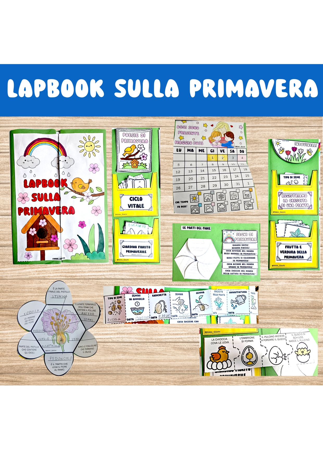 🌸 Lapbook sulla Primavera • Edudoro