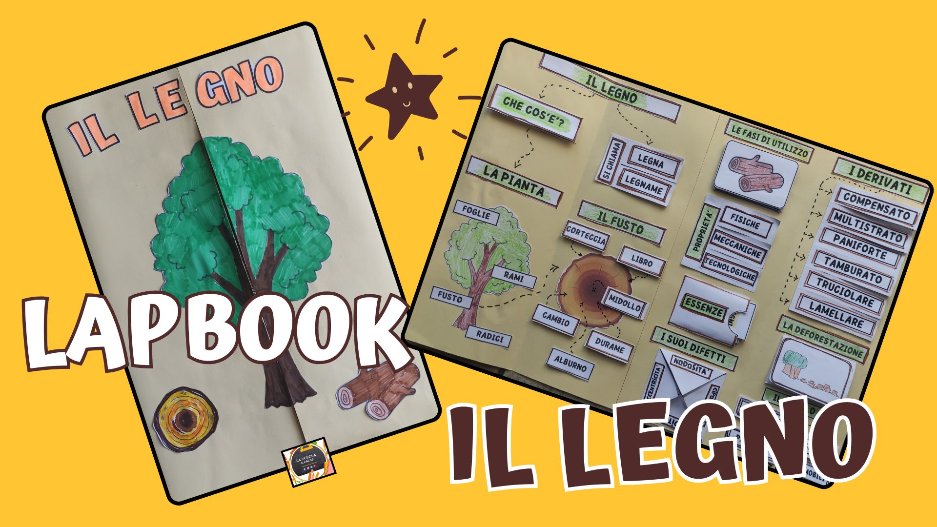 LAPBOOK IL LEGNO - Le materie prime organiche - scuola media - • Edudoro