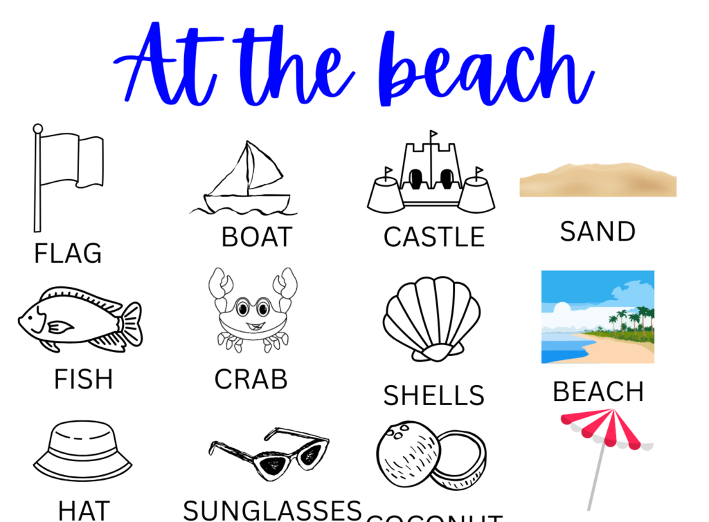 AT THE BEACH - PICTURE DICTIONARY • Edudoro
