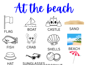AT THE BEACH - PICTURE DICTIONARY • Edudoro