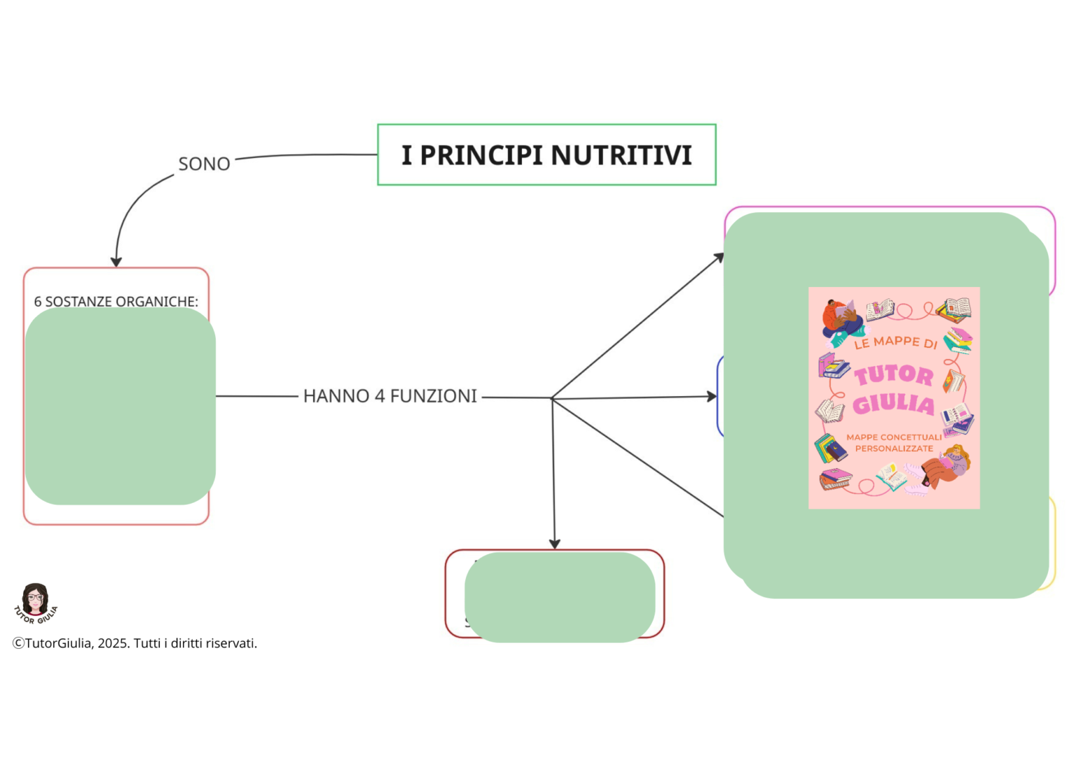 I PRINCIPI NUTRITIVI E LE LORO FUNZIONI • Edudoro