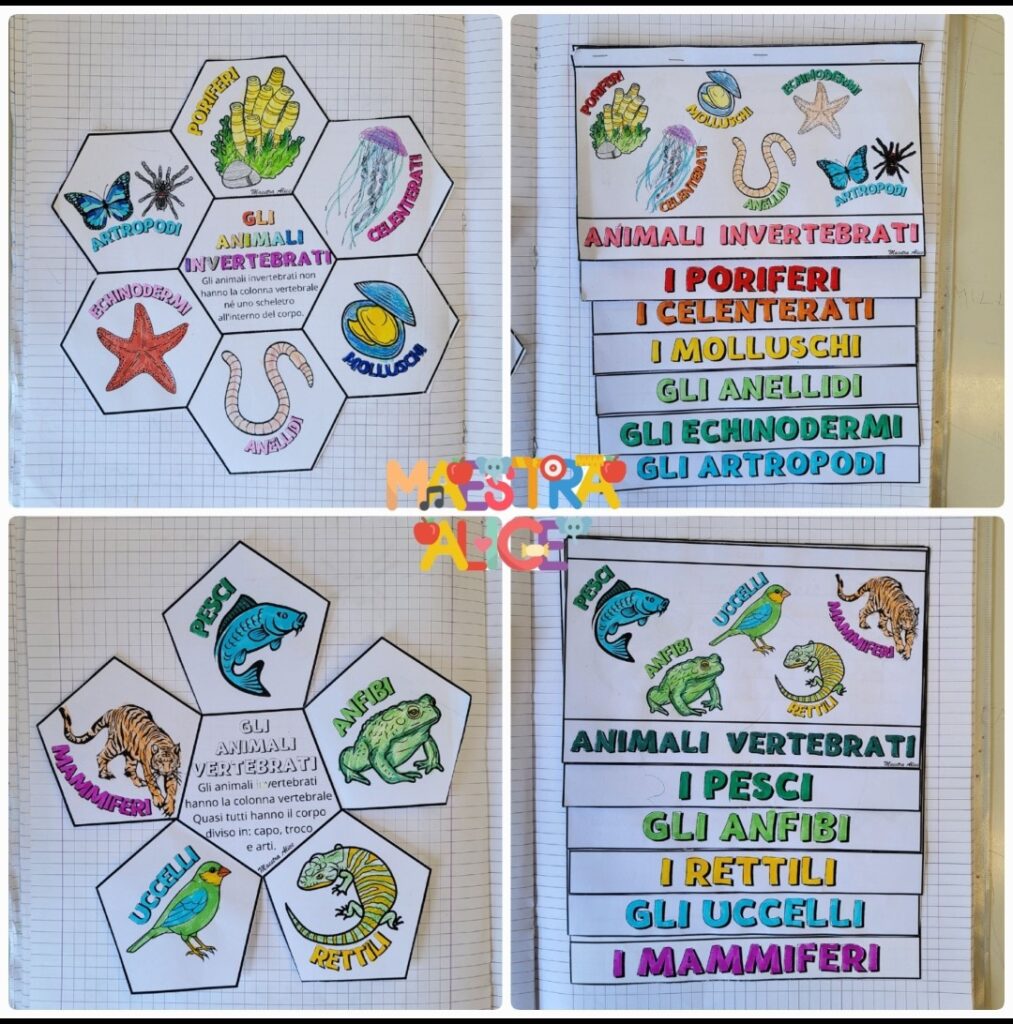 ANIMALI VERTEBRATI E INVERTEBRATI • Edudoro