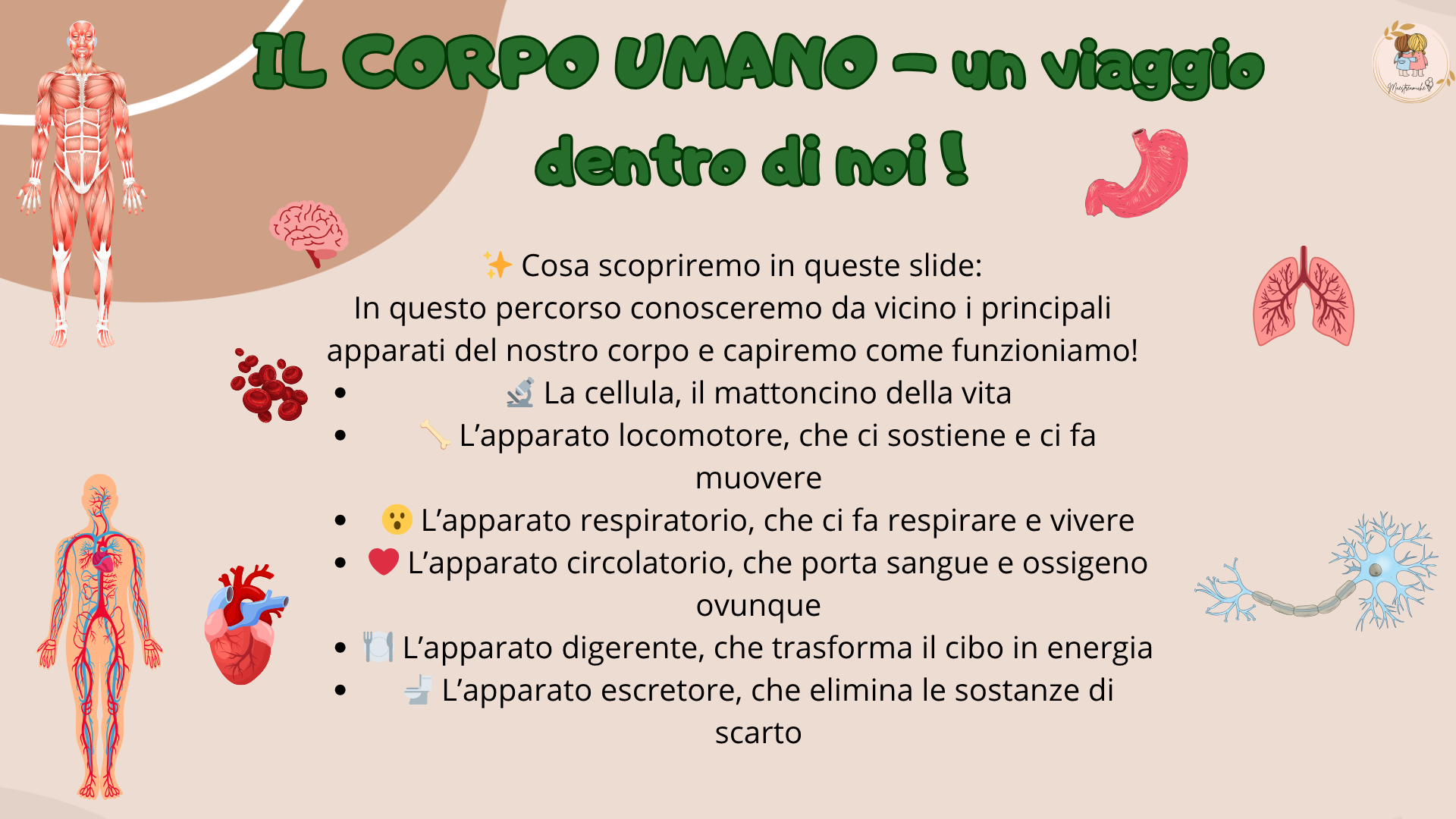 IL CORPO UMANO - Un viaggio dentro di noi! • Edudoro