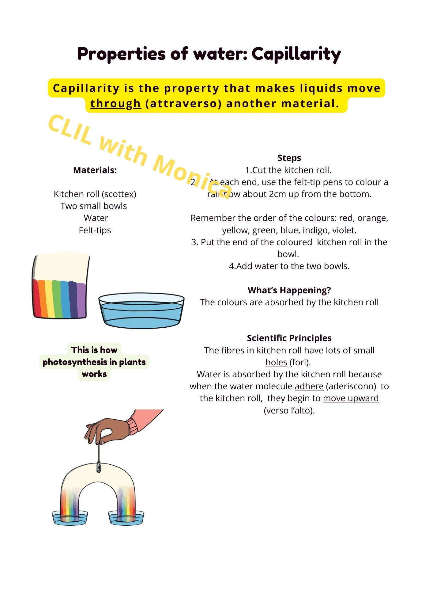 CLIL scienze 4^: proprietà dell'acqua/esperimento capillarità - CLIL ...
