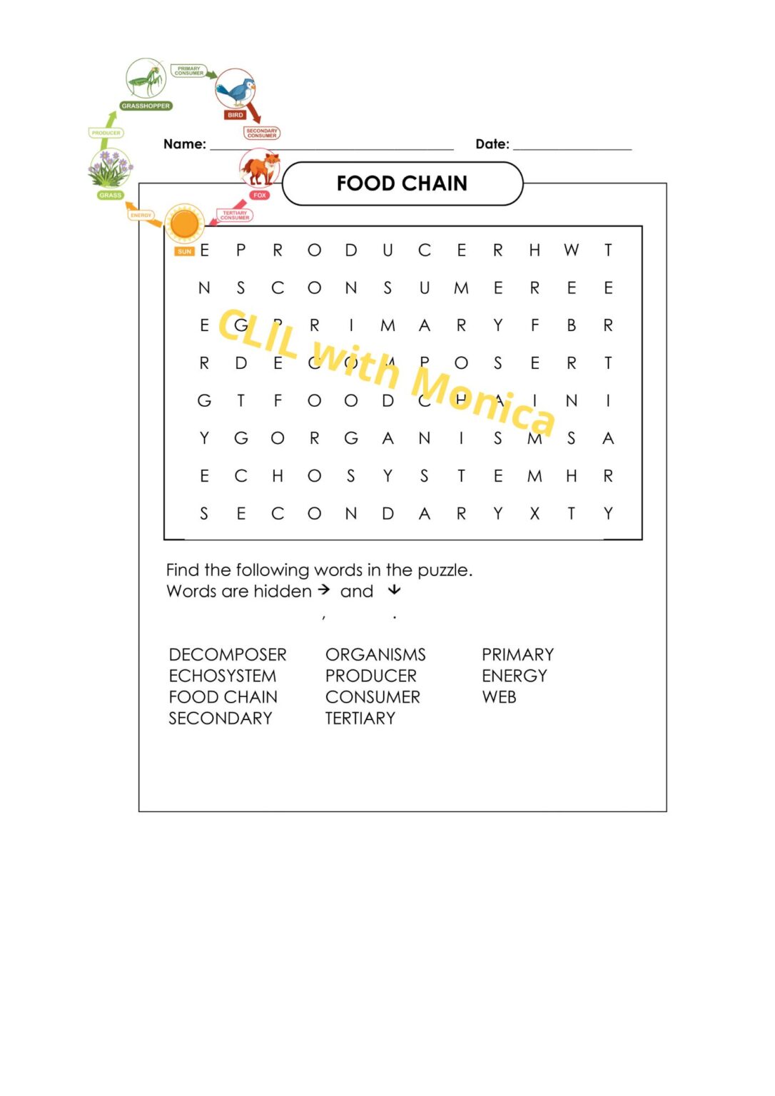 CLIL scienze classe 4 CATENE ALIMENTARI - CLIL Science Year 4 FOOD ...