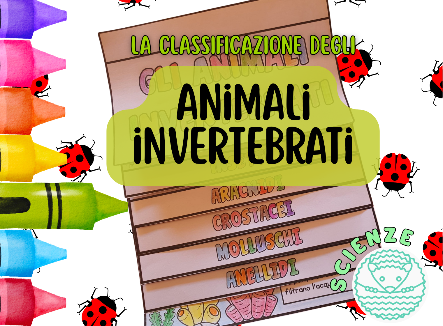 La classificazione degli animali INVERTEBRATI • Edudoro
