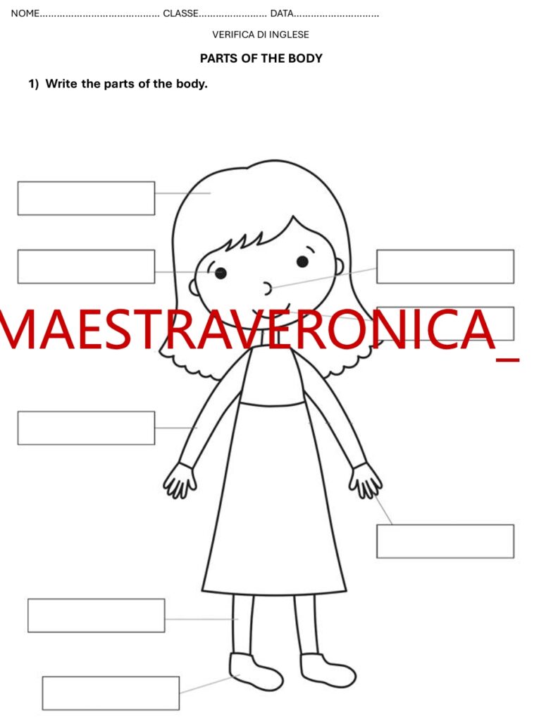 VERIFICA DI INGLESE - LE PARTI DEL CORPO • Edudoro
