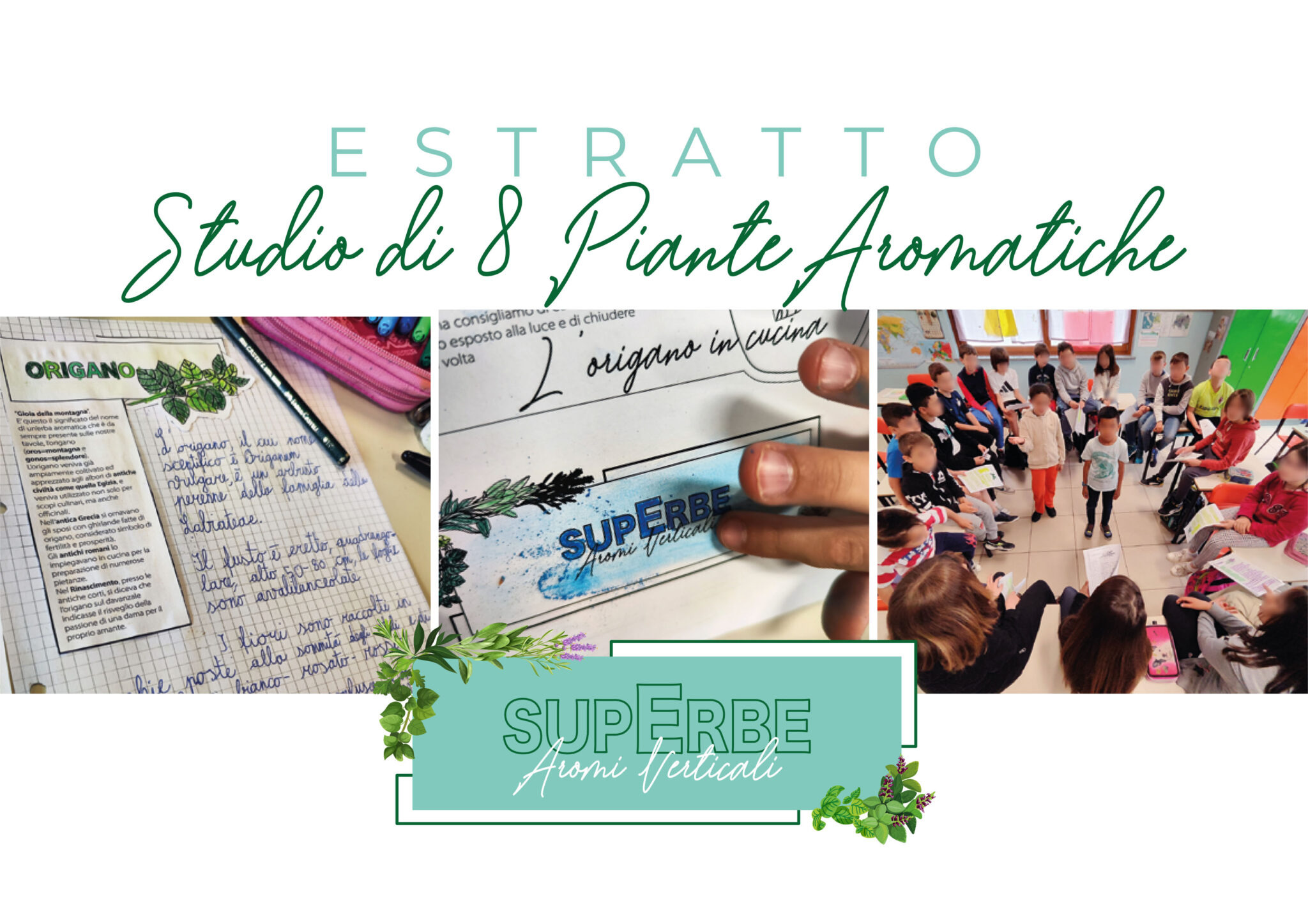 “SuperERBE. Aromi verticali” Estratto STUDIO 8 PIANTE AROMATICHE • Edudoro