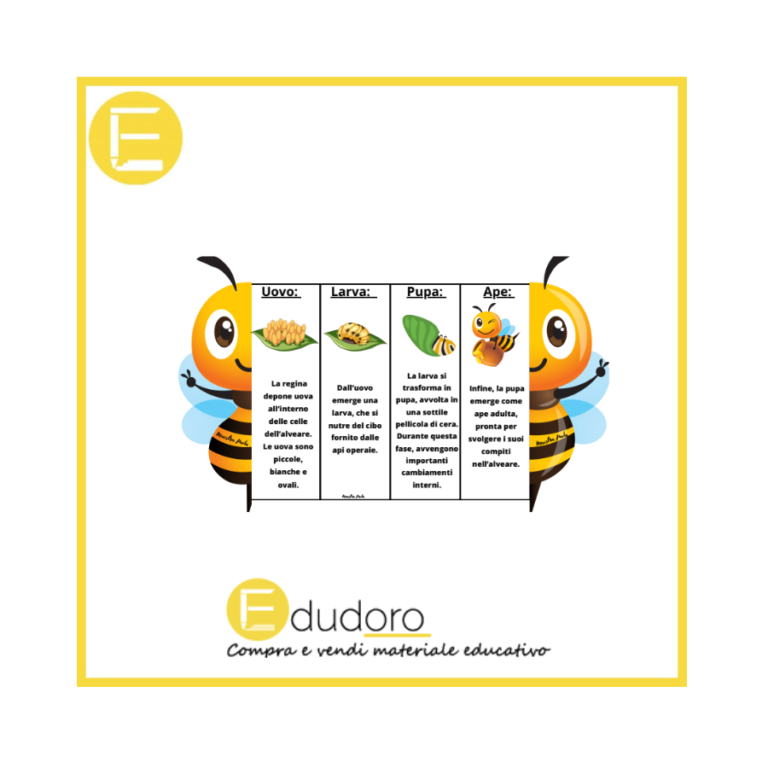CICLO VITALE APE • Edudoro