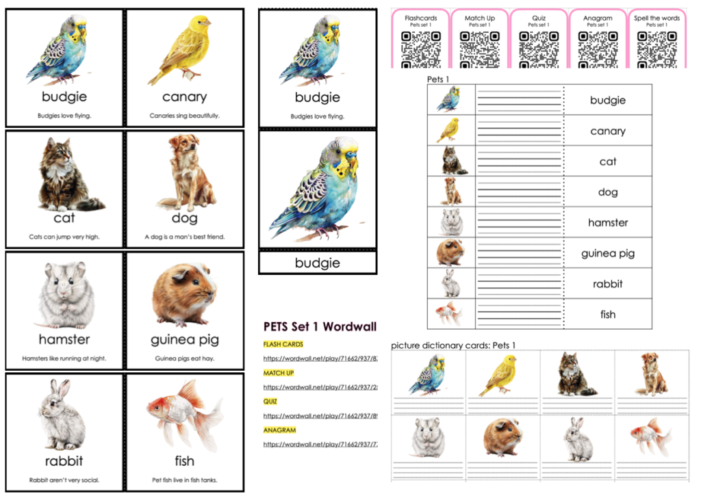 Vocabulary Enrichment Set: Pets SET 1 • Edudoro