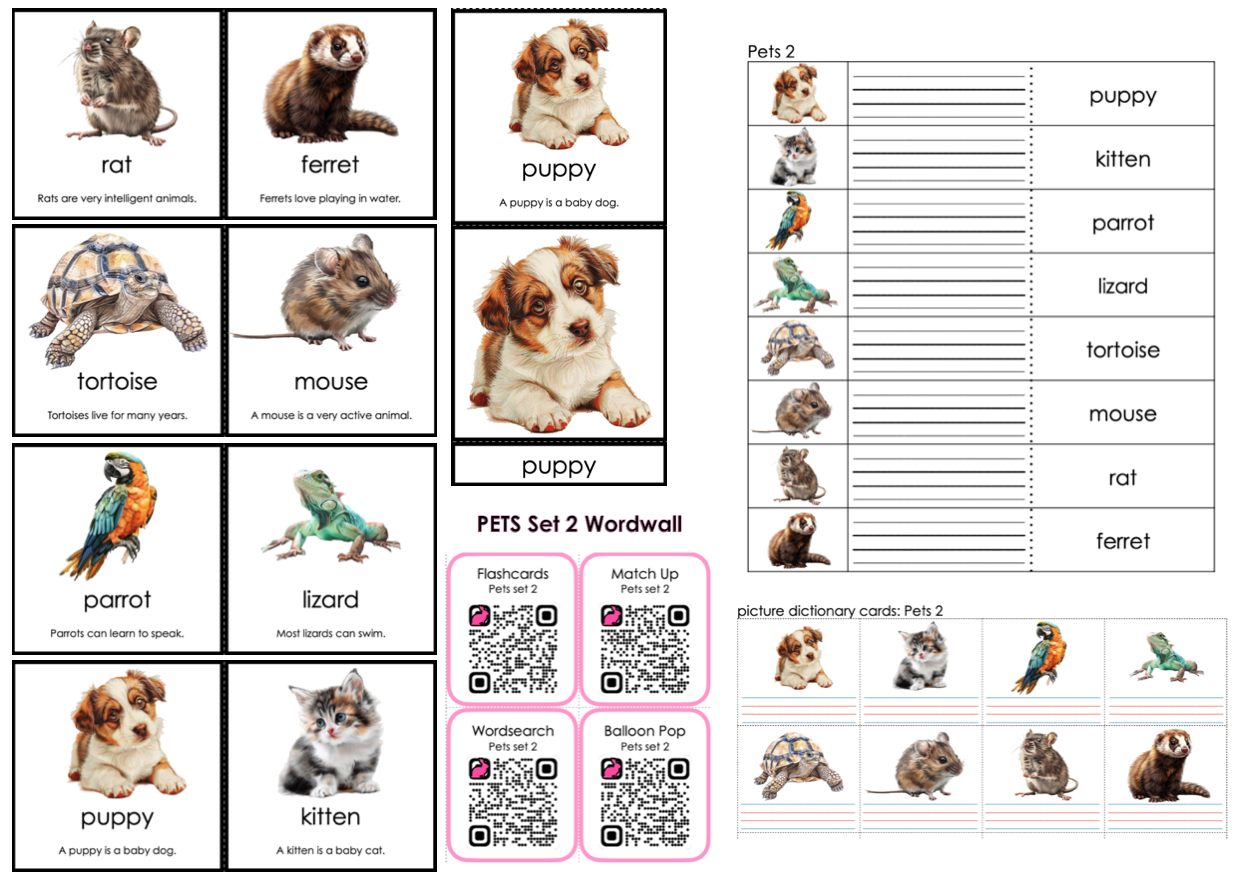 Vocabulary Enrichment Set: Pets SET 2 • Edudoro