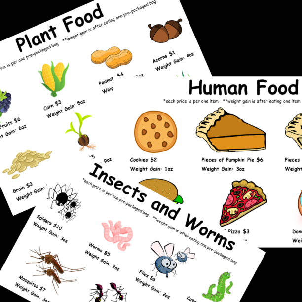 4th Grade Fall Thanksgiving Math Project Based Learning Activity PBL ...