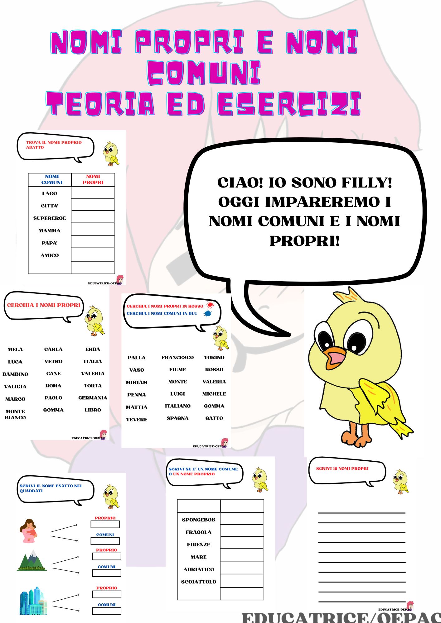 nomi: propri e comuni, teoria più esercizi • Edudoro