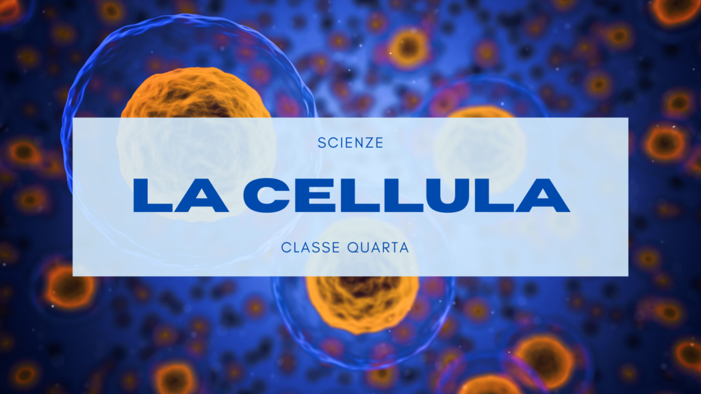 La cellula • Edudoro