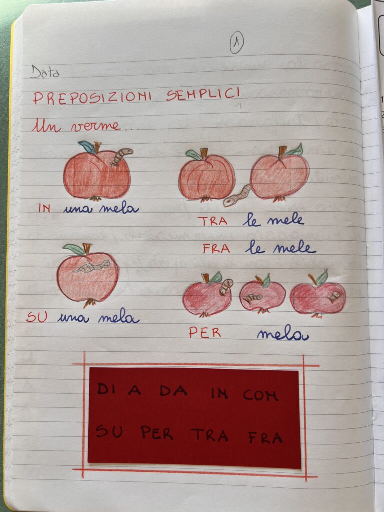 PREPOSIZIONI SEMPLICI E ARTICOLATE • Edudoro